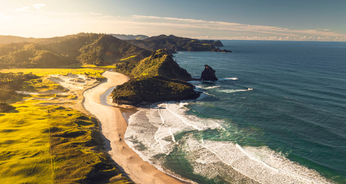 Our Story – The Aotea Company